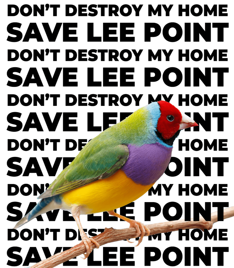 July 12 2023 Update - Save Lee Point
