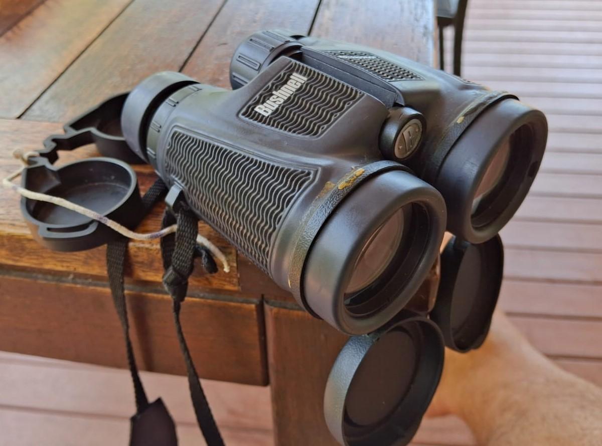 Why buy binoculars? - Save Lee Point